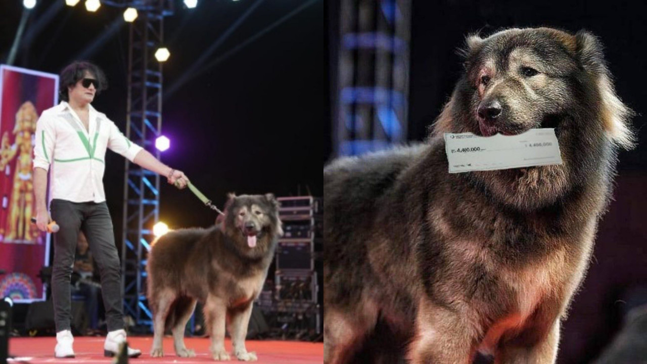 कौन हैं बेंगलुरु के ब्रीडर एस सतीश? जिन्होंने 50 करोड़ रुपये में खरीदा ...